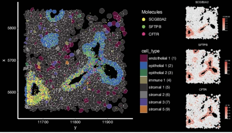 Spatial Transcriptomics & Spatial Biology - 10x Genomics